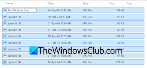 How to rename multiple Files or Folders at once in Windows 11