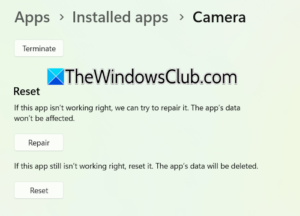 Camera showing Black and White in Windows 11