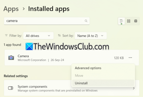 Camera showing Black and White in Windows 11