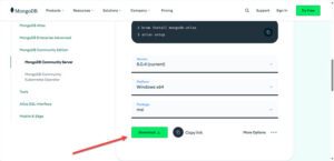 How to install MongoDB on Windows 11?