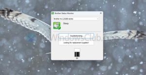 How to check Printer Ink Levels in Windows 11
