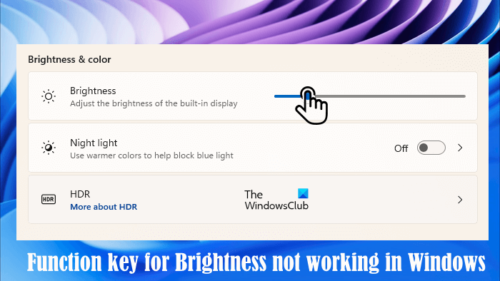 Function key for Brightness not working in Windows 11/10