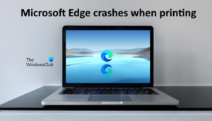 Microsoft Edge crashes when printing in Windows 11/10