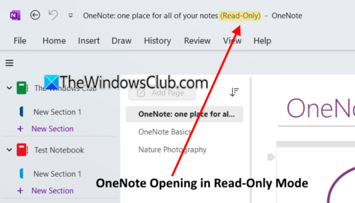 Make OneNote paste plain text without formatting