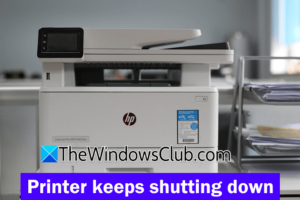 Printer keeps shutting down on Windows PC [Fix]