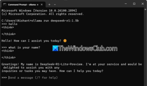 How to run DeepSeek locally on Windows 11