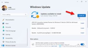 Windowspackagemanagerserver Exe Application Error Fix