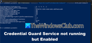 Credential Guard Service not running but Enabled in Windows 11