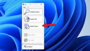 Video Codec not supported error in Windows 11