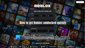 How to get Roblox unblocked quickly?