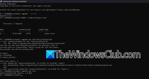 How to install Vagrant on Hyper-V on Windows 11