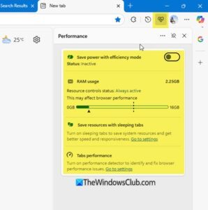 Microsoft Edge High Memory Usage in Windows 11