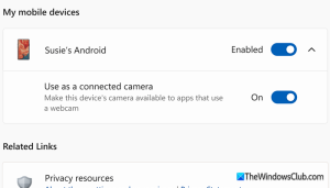 How to remove Virtual Camera from Windows 11