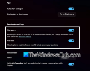 How to use Copilot Vision on Windows 11?