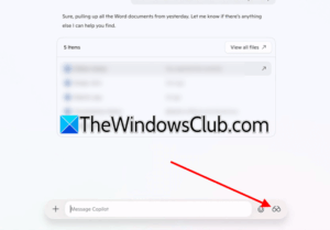 How to use Copilot Vision on Windows 11?
