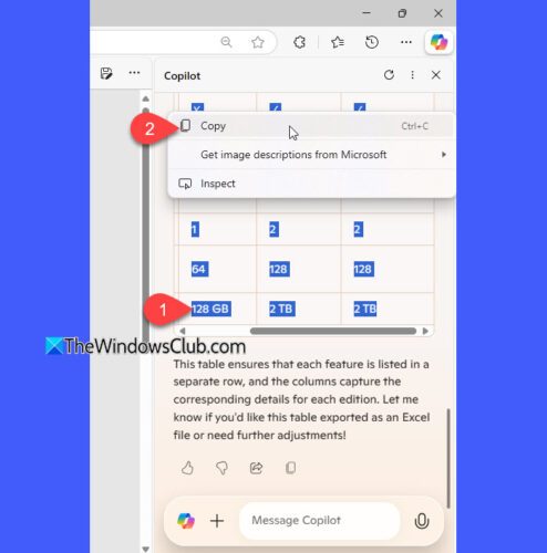 How to convert PDF to Excel free using Copilot AI?
