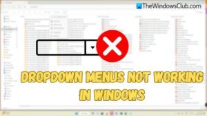Dropdown menus not working in Windows 11