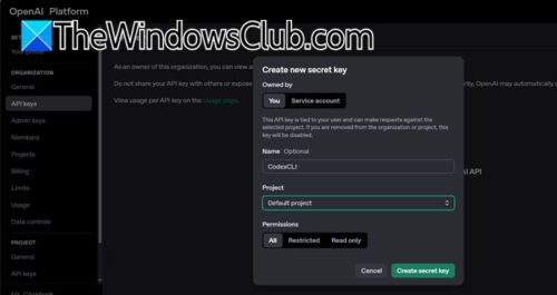 How to use turn Text into Code using Codex CLI