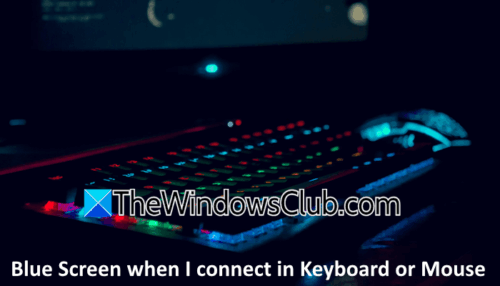 Blue Screen when I connect a Keyboard or Mouse [Fix]
