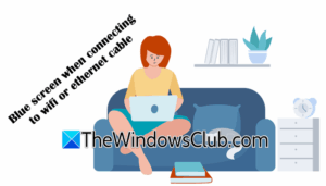 Windows 11 Blue Screen when idle [Fix]