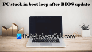 Windows PC stuck in boot loop after BIOS update