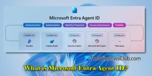 What is Microsoft Entra Agent ID?