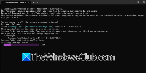 How to download Windows AI Foundry locally