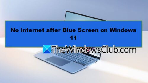 No internet after Blue Screen on Windows 11 [Fix]