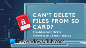 Can't delete files from sd card in Windows 11