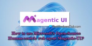 Using Magentic-UI, Microsoft’s Open-Source Human-centric web agent