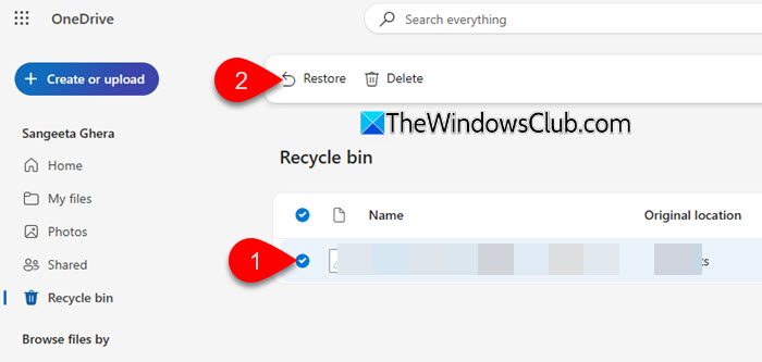 Accidentally deleted Desktop folder in Windows 11