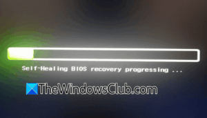 WARNING! BIOS Recovery mode has been detected
