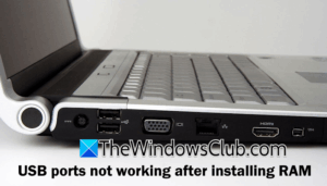 USB ports not working after installing RAM [Fix]