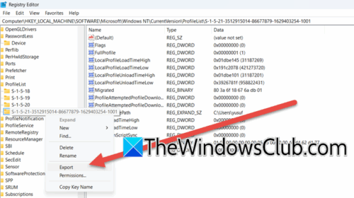 No users in netplwiz, account exists in CMD