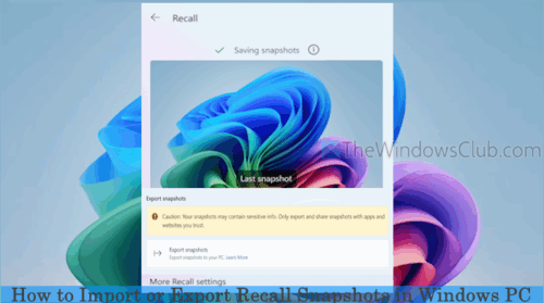 How to use OpenRecall on Windows 11 (Recall alternative)
