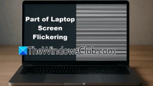 Part of laptop screen flickering [Fix]