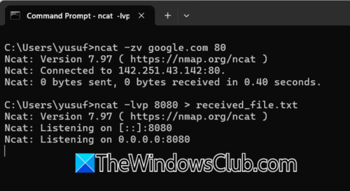 How to install and use Netcat on Windows 11?