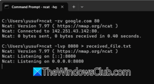 How to install and use Netcat on Windows 11?