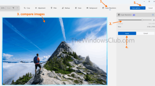 DuckLink Screen Capture: Capture windows, regions, scrolling pages