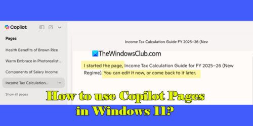 How to use Copilot in Windows 11 [Complete Guide]