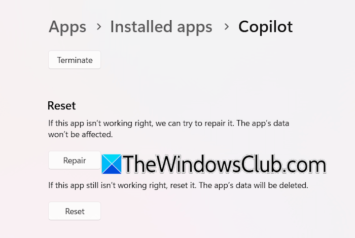 Copilot Vision not connecting or working