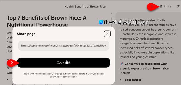 How to use Copilot Pages in Windows 11?