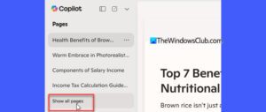 How to use Copilot Pages in Windows 11?