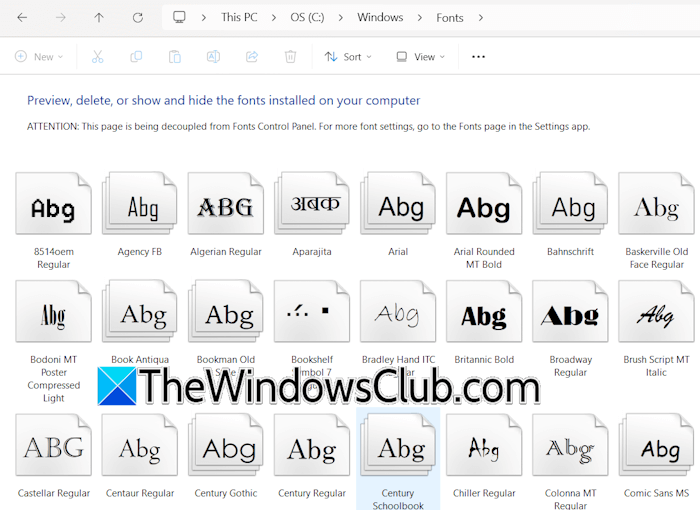 PowerPoint opens a blank presentation