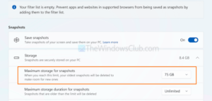 How to use Recall in Windows 11: Detailed Guide