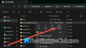 Visual Studio crashing on startup in Windows 11