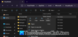 Visual Studio crashing on startup in Windows 11