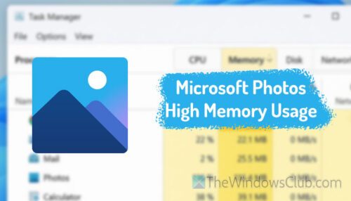 Microsoft.Photos.exe high Memory usage in Windows 11