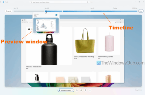 How to use Recall in Windows 11: Detailed Guide