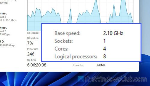 Task Manager not showing Network usage in Windows 11